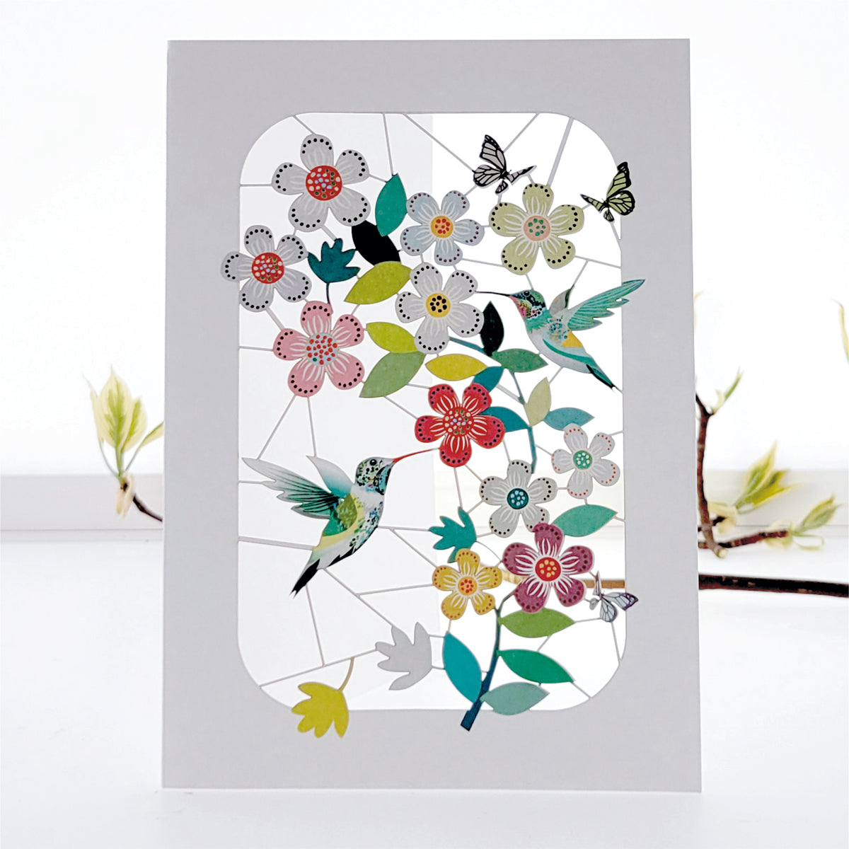 Flowers and Hummingbirds Greetings Card - Blank - Bird Card - PM263 ...