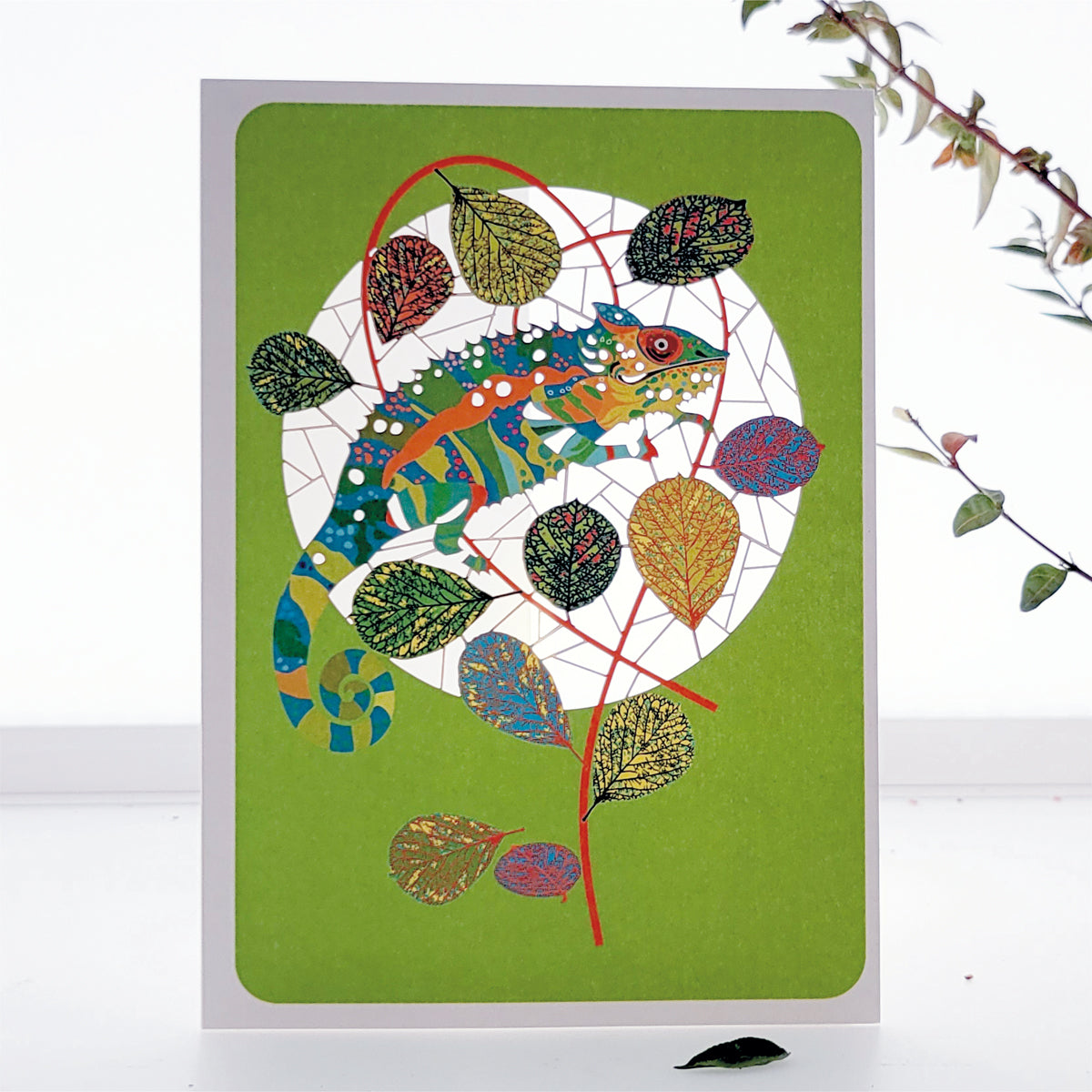 Chameleon Greetings Card - Blank - Reptile Card - PM171 – Forever cards